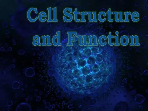 PPT Cell Structure And Function PowerPoint Presentation Free Download ID 2185834