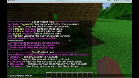 Example Of Coreprotect And Why You Should Use It Youtube
