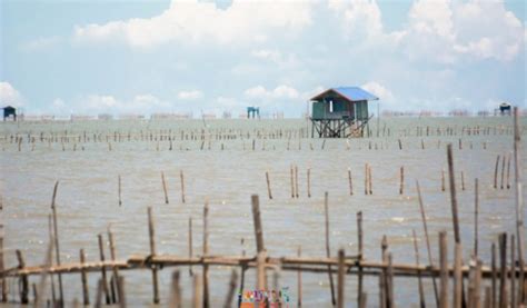 บางตะบูน