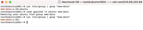 How To Manage Groups On Ubuntu Server 1604 Devtutorial