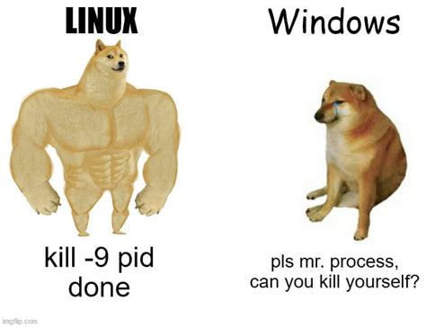 Shell Script คืออะไร Shell Script คือ Text File By Thanayut