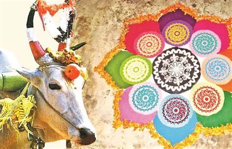 තෛපොංගල් දිනය අදයි The Voice Of Women