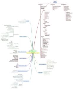 Updated CISO Mind MapRafeeq Rehman Cyber Security Board Advisory