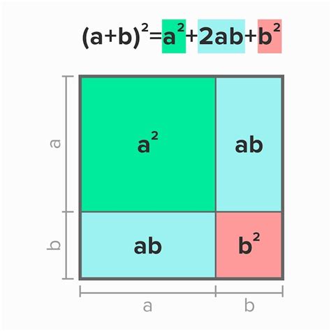 Binomial Theorem Vectors And Illustrations For Free Download