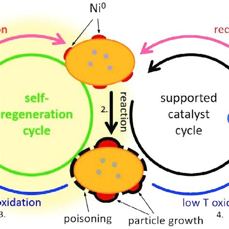 The Principle Of Self Regeneration Of Lafe 08 Ni 02 O 3