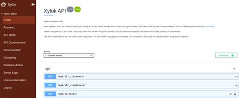 Api Overview Xylok Documentation