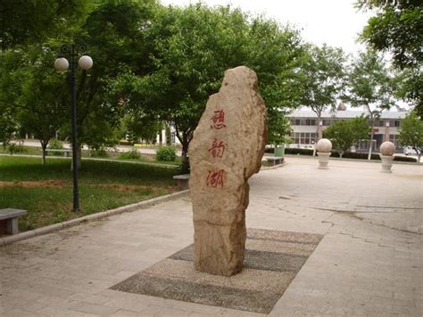 宁波大学科学技术学院2024年在浙江各专业录取分数线（附院校录取分数线录取位次） 大考100