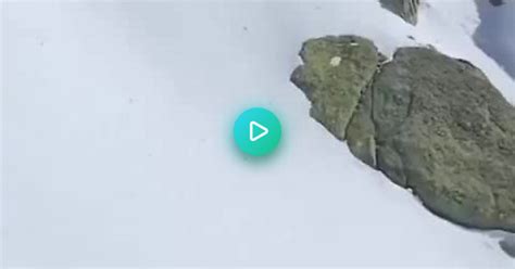 Speed Album On Imgur