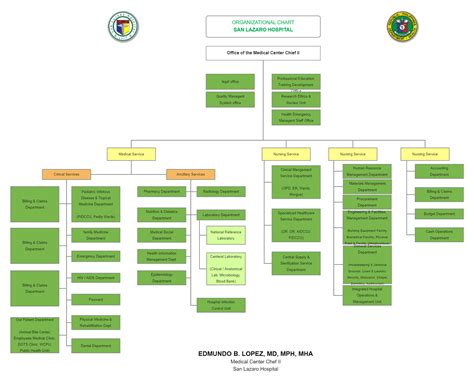 Organizational Chart For Hospital