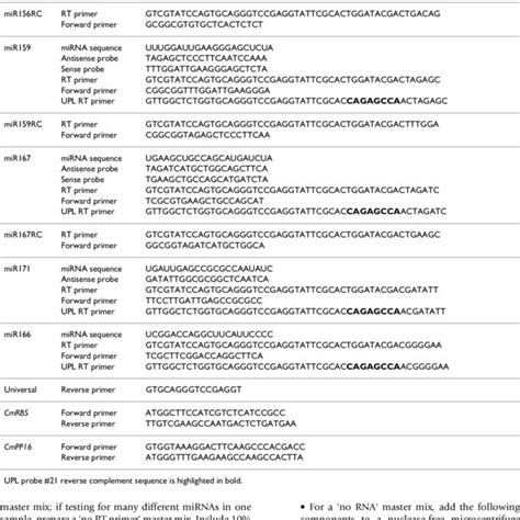 The Sensitivity Of The Stem Loop Rt Pcr Assay A Gel Blot Analyses Of