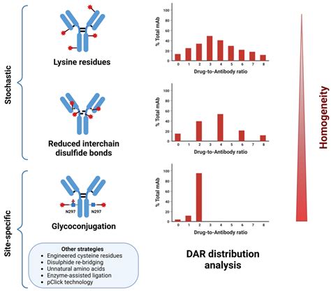 Conjugation Strategies For Adc Development Adcs Can Be Produced By