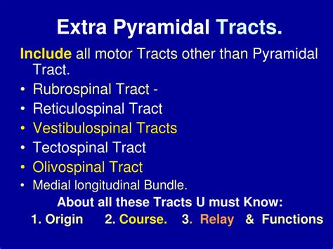 Ppt Extrapyramidal Tracts Powerpoint Presentation Free Download Id 9115821
