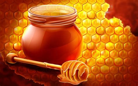 다채로운 음식 배경 화면 9 1920x1200 배경 화면 다운로드 다채로운 음식 배경 화면 다른 배경 화면 V3 벽지 역