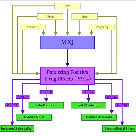 Latent Variable Model Schematic Diagram Describing The Structure Of Download Scientific