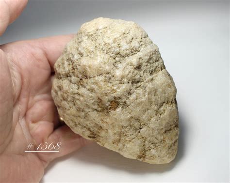 Large Geodized Quartz Gastropod Fossil Specimen Indiana Etsy
