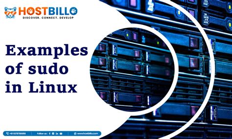 How To Use Sudo Command In Linux With Examples Hostbillo Blog Web Hosting Devops Tech And