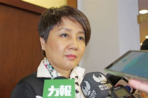 格力犬安置方案 梁安琪今日交政府 澳門力報官網