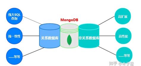 简单了解mongodb数据存储 Csdn博客