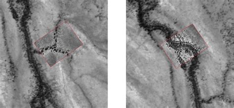 Normalised Cross Correlation Of Luminance Is Used To Register A Uav Download Scientific Diagram