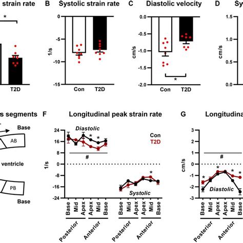 Longitudinal Peak Diastolic Strain Rate And Velocity Are Reduced In T2d
