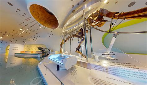 전시 고고학체험실