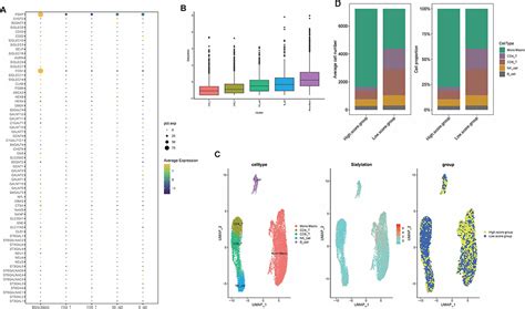 Integrating Bulk Single Cell RNA Sequencing Bladder Ca JIR