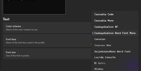 Make Your Vs Code Terminal Look Awesome Dev Community