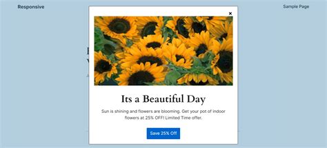 Introducing Popup Block In Responsive Blocks Plugin