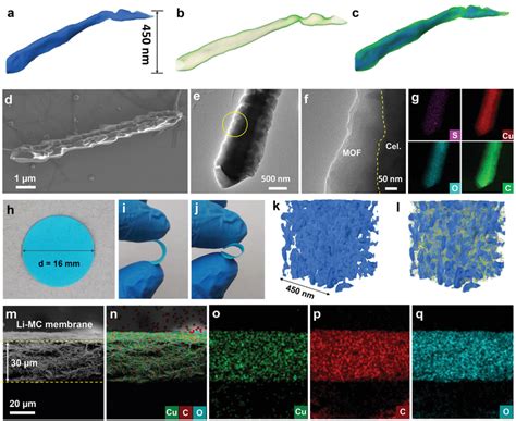 Microstructures Of Mc Fiber And Li‐mc Membrane Fibers Ac