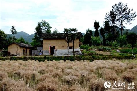 湖北巴东深山一隅老土屋扎堆 成稀缺旅游资源
