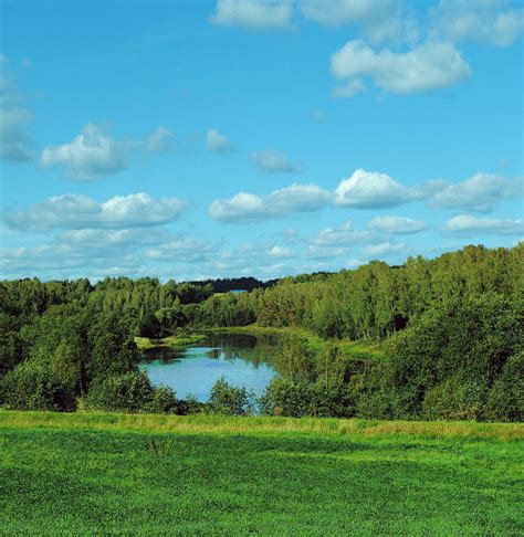 Воздушный ЗМЕЙ Флавия Ритц Стихи ру