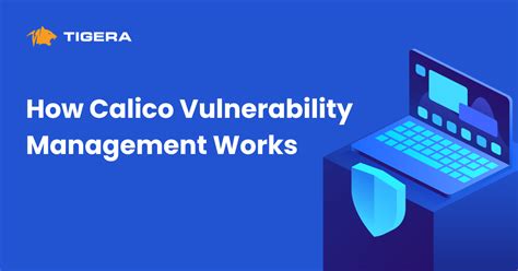 Kubernetes Networking With Calico