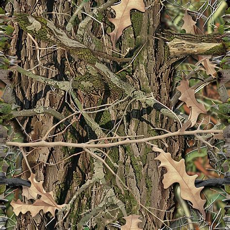 Mossy Oak Tree Hunting Camo Texture Stock Photo At Vecteezy