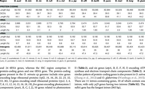 Comparison Of Coding And Non Coding Region Sizes Among Twelve Oryza