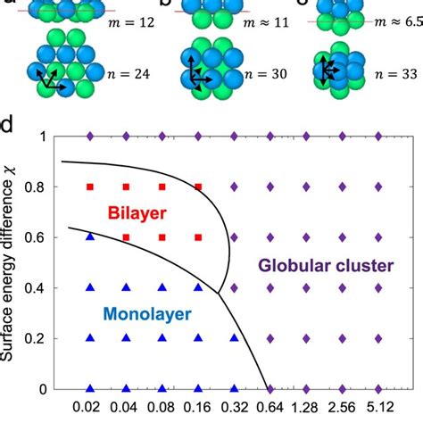 Analytical Model For Predicting Phase Coexistence Boundaries Ac