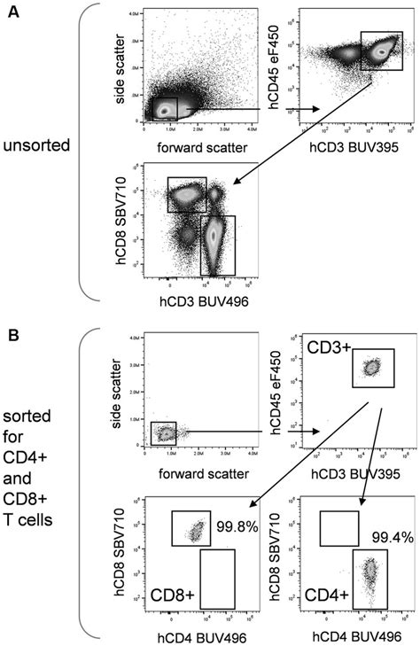 Cell Sorting Flow Cytometric Analysis And Sorting Of Human Peripheral Download Scientific