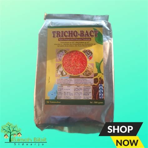 Jual Tricho Bact Fungisida Pupuk Pengendali Patogen Tanaman Trichoderma Tricoderma 500gr