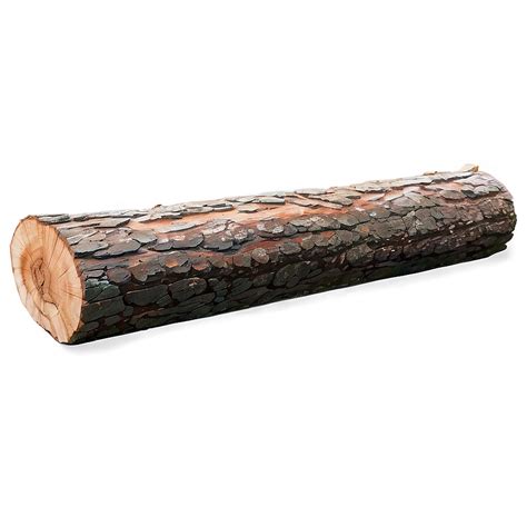 Log Png Images 100