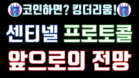 업비트 센티넬 프로토콜 코인 킹더리움 매수 가격 공개 Youtube