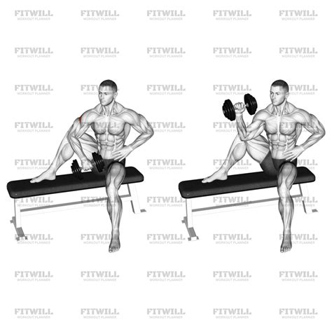Dumbbell Seated External Shoulder Rotation Exercise Guide Techniques Benefits How To