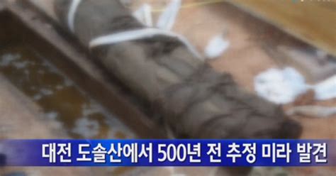 도솔산 500년 전 미라발견조선사람 우백기 누구