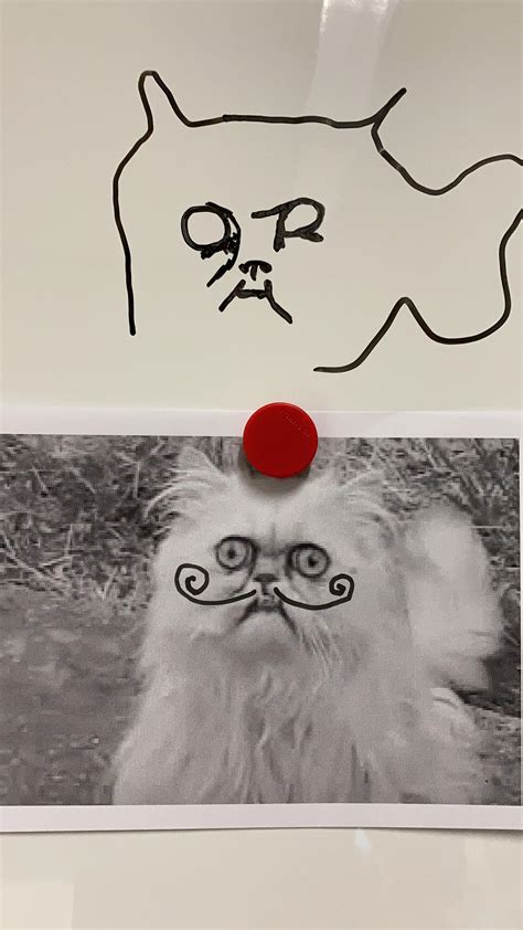 Requirements Engineering They Said The Specifications Are Clear They Said R Programmerhumor