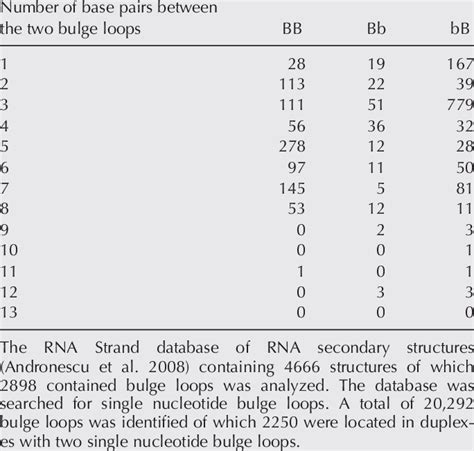 Number Of Base Pairs Separating Two Single Nucleotide Bulge Loops In Download Table