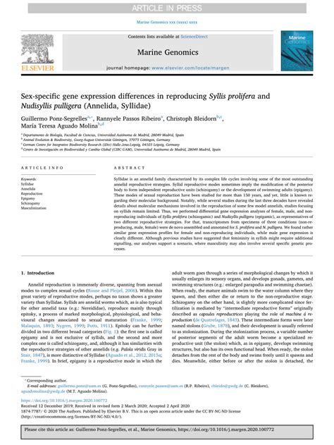 Pdf Sex Specific Gene Expression Differences In Reproducing Syllis Prolifera And Nudisyllis