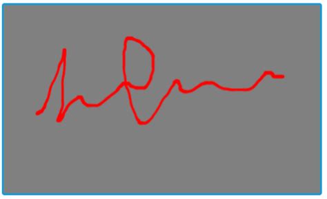 Signature Customization