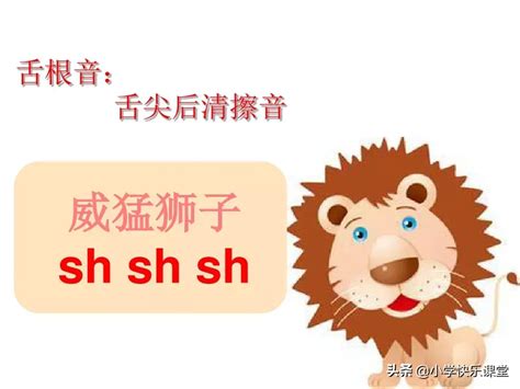 拼音声母图片和拼法（小学一年级汉语拼音要点——声母，图文详细解读，孩子轻松学习） 说明书网