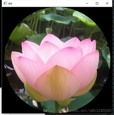opencv2 4 13 中 选取roi区域，任意形状（矩形，不规则多边形，圆形，椭圆，手动指定形状） opencv 中region是什么形状