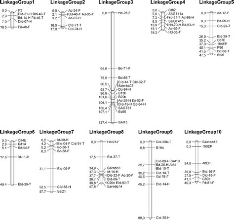 Sex Averaged Linkage Map In Kosambi Centimorgans Of The Gilthead Sea Download Scientific