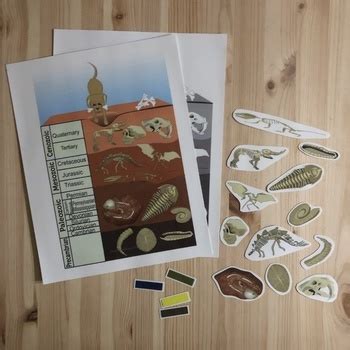 Fossil Matching Activity By Montessorikiwi TPT